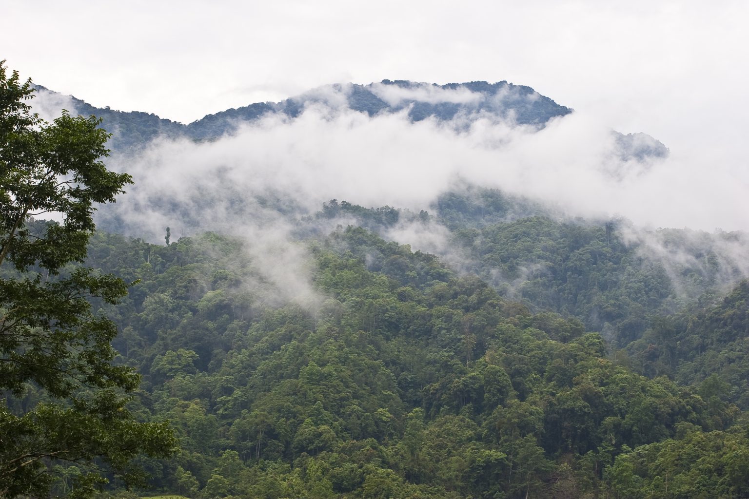 The Barta Story – Kedar Bhide